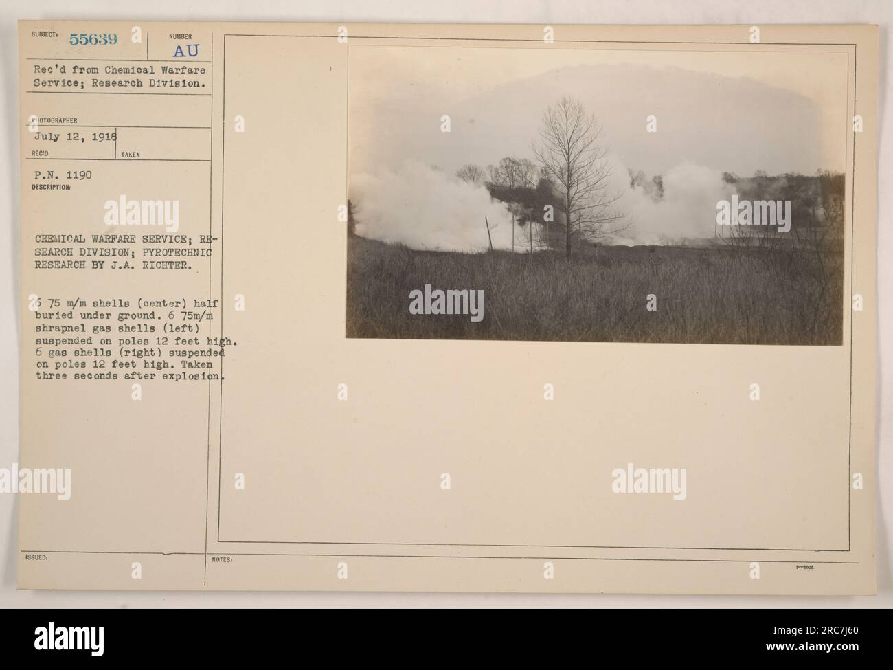 75m m shells hi-res stock photography and images - Alamy