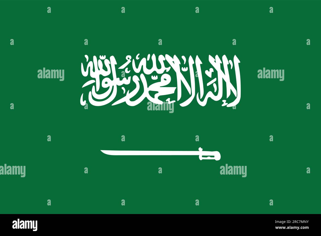Flag of Saudi Arabia - Vector illustration Stock Vector Image & Art - Alamy