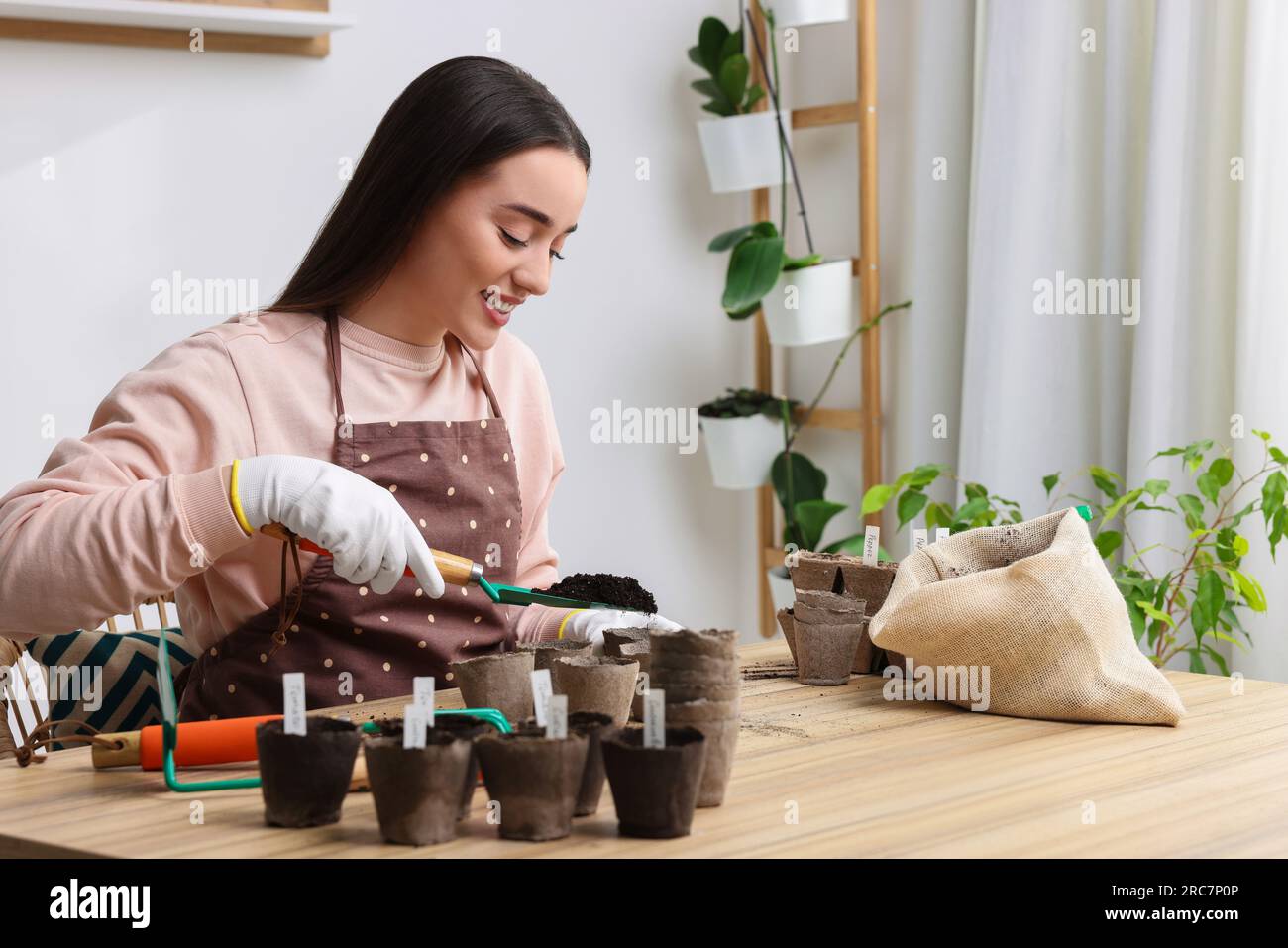Young woman adding soil into peat pots at wooden table indoors. Growing ...