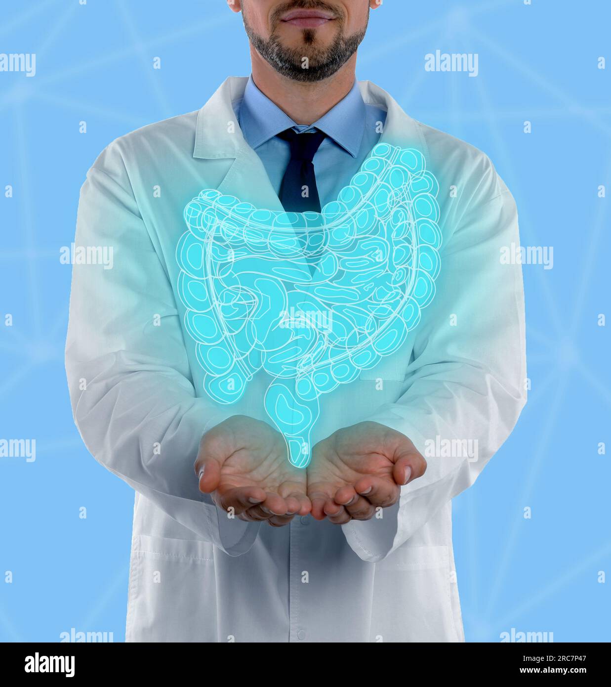 Gastroenterologist holding illustration of intestines on light blue ...