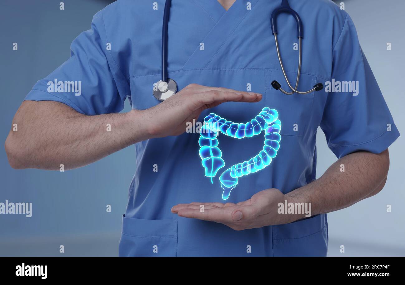 Gastroenterologist holding illustration of large intestine on light ...
