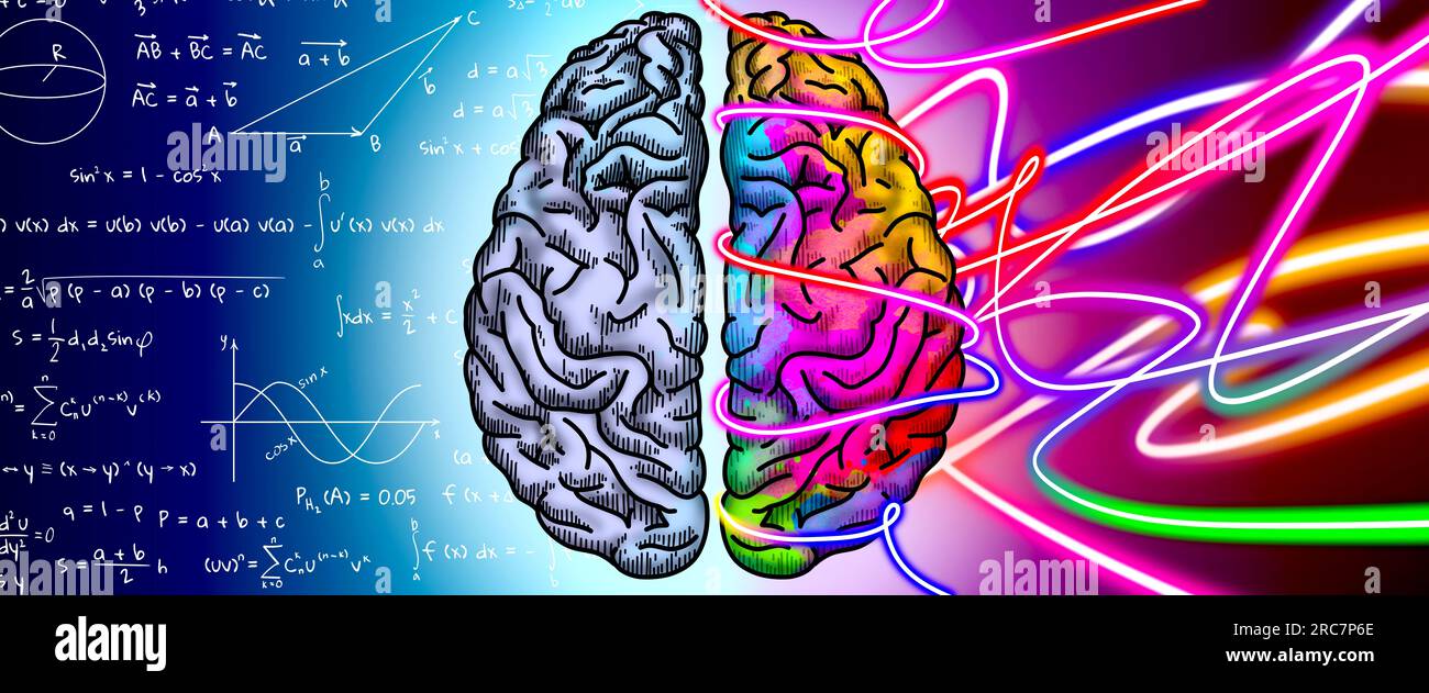 Logic and creativity. Illustration of brain hemispheres, banner design ...