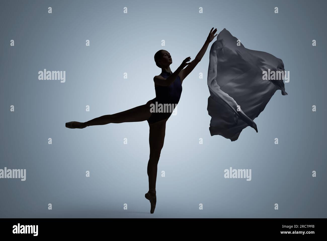 Beautiful ballerina with veil dancing on light grey background. Dark ...