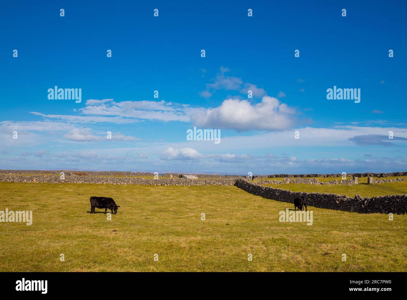 Inish More, Aran Island, Ireland,Port Chorruch Area Stock Photo - Alamy