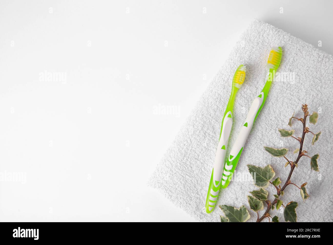 Light green toothbrushes, terry towel and ivy on white background, top ...