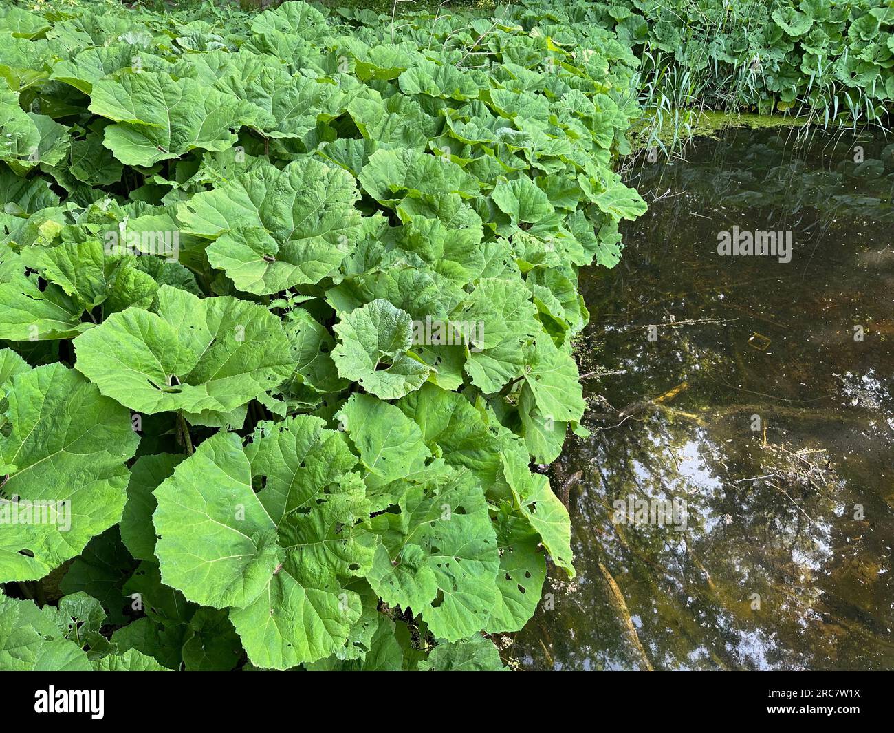 Riverside hybrid hi-res stock photography and images - Alamy