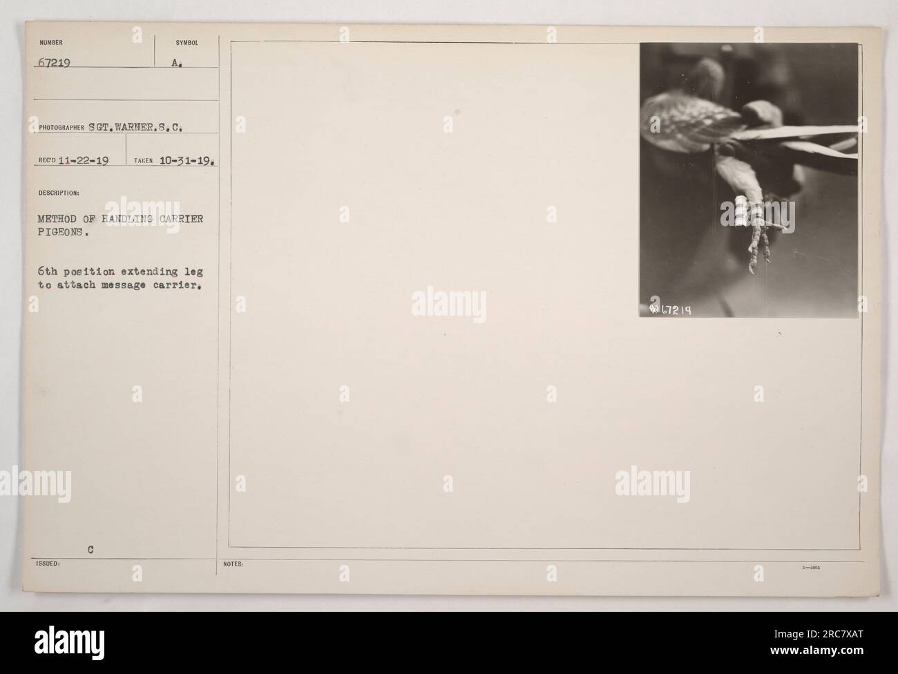 Soldiers demonstrate the method of handling carrier pigeons during ...