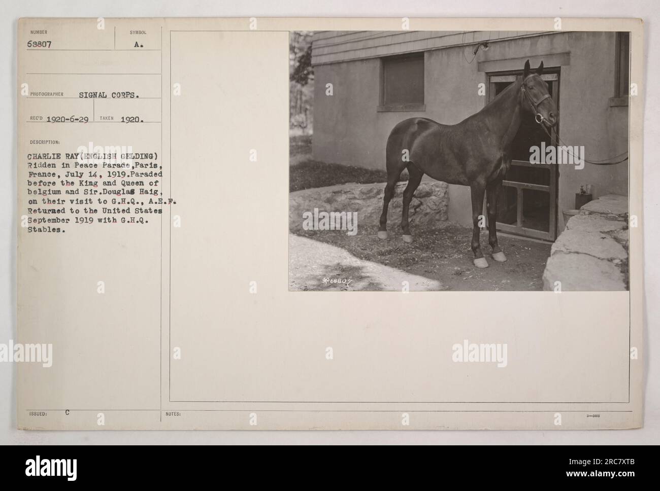 Charlie Ray, an English gelding, was ridden in the Peace Parade in ...