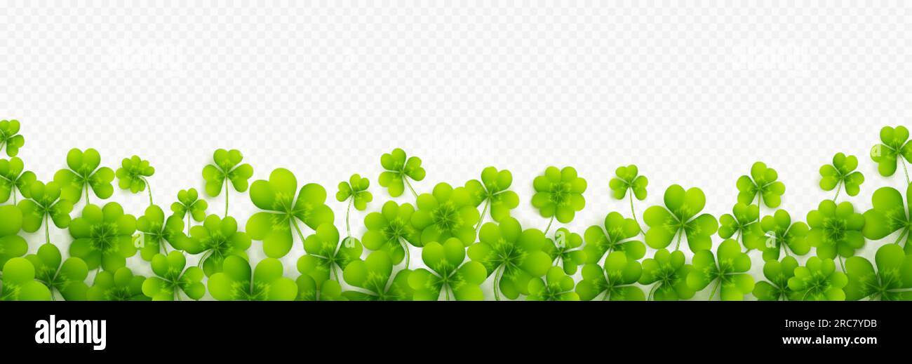 Realistic clover leaves border isolated on transparent background. Vector illustration of four ...