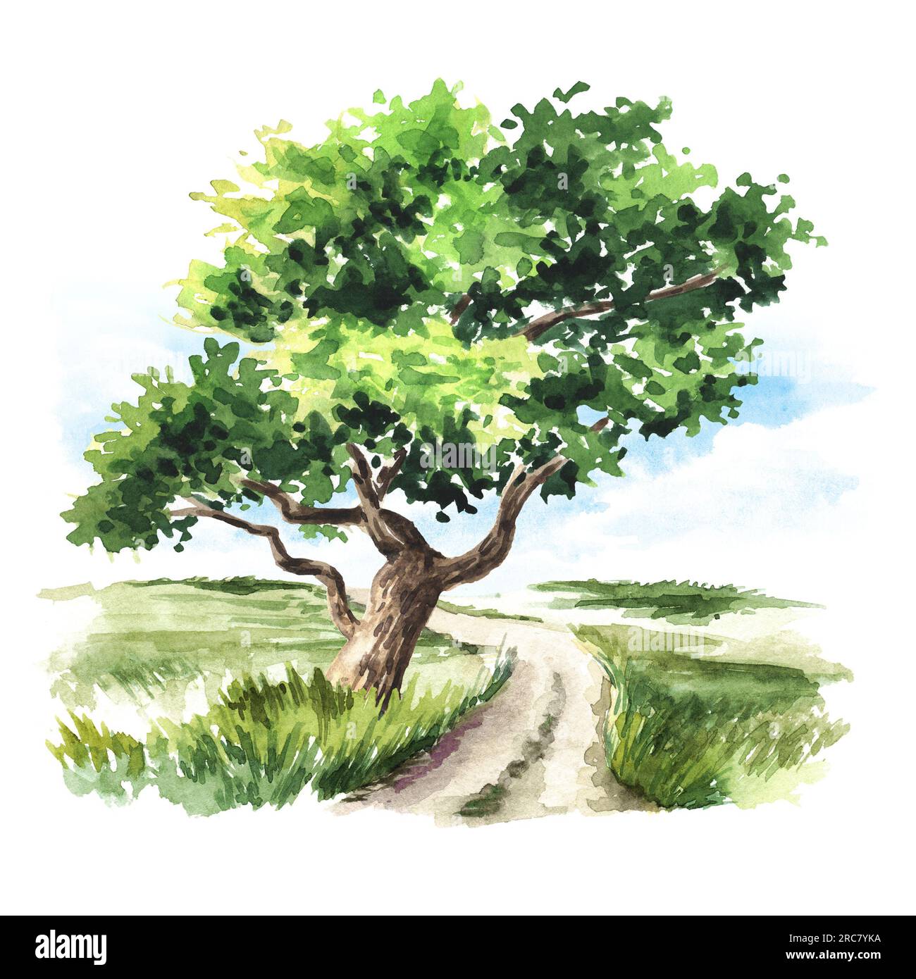 Overgrown country lane, parth, stretching into the distance, and a ...