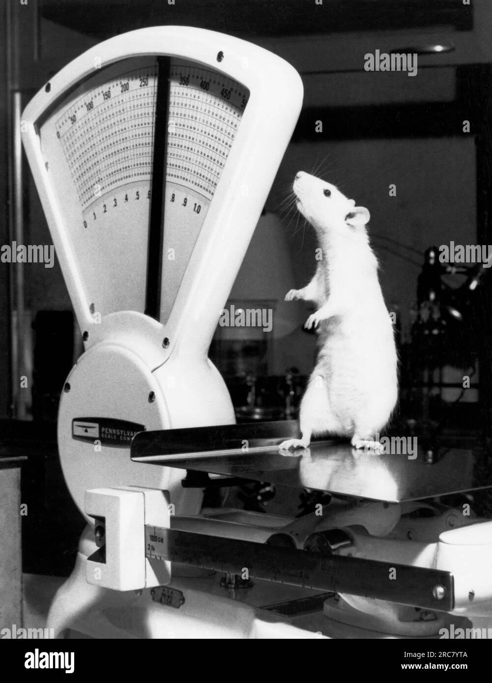 Asociated Black and White Stock Photos & Images - Alamy