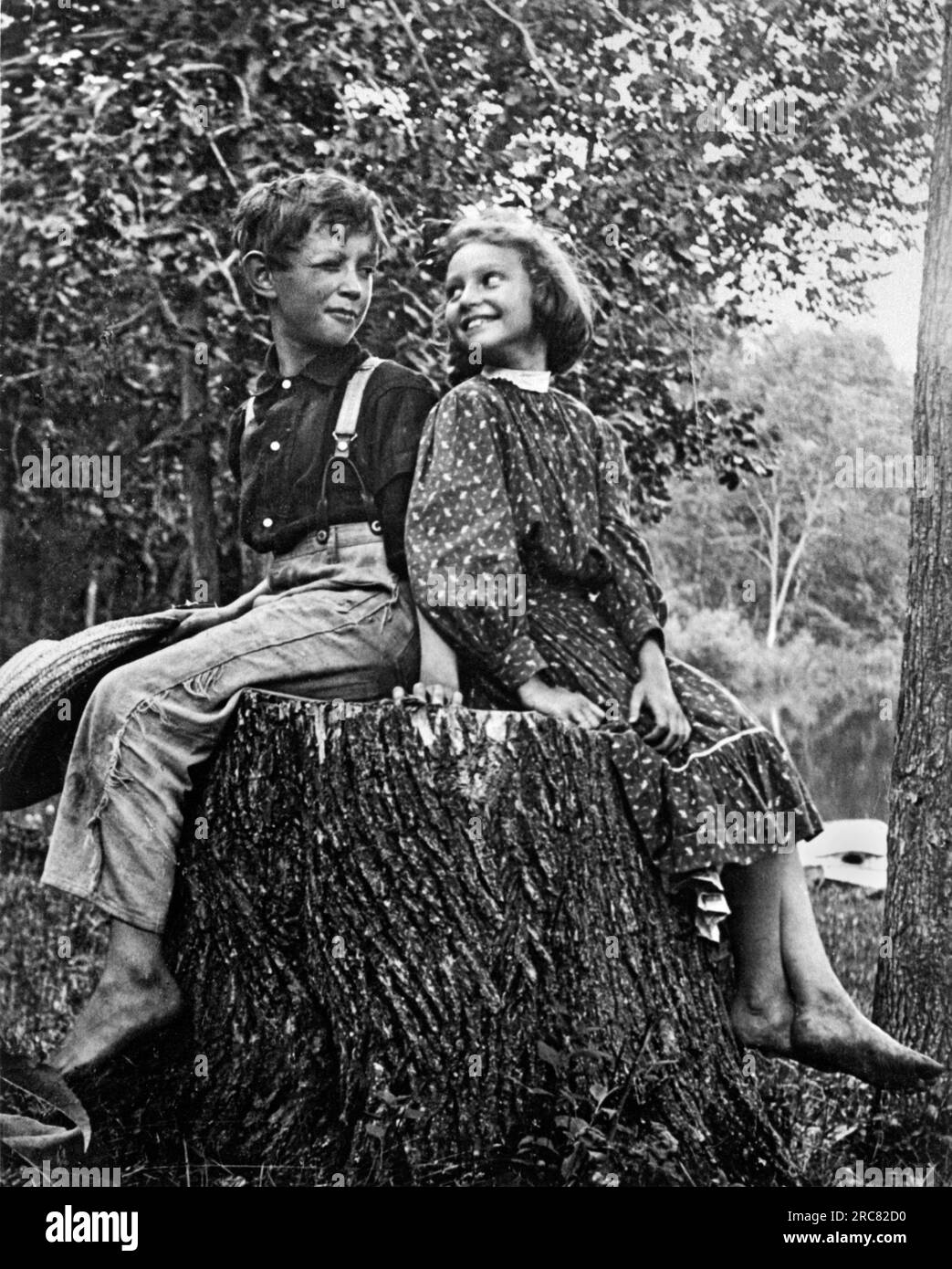 Minnesota, 1905 Two children sittiing on a stump in the woods look at ...