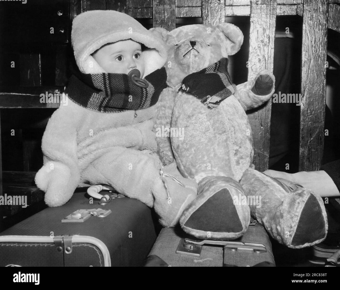 New York, New York: January 18, 1957 An infant sits bundled against the ...