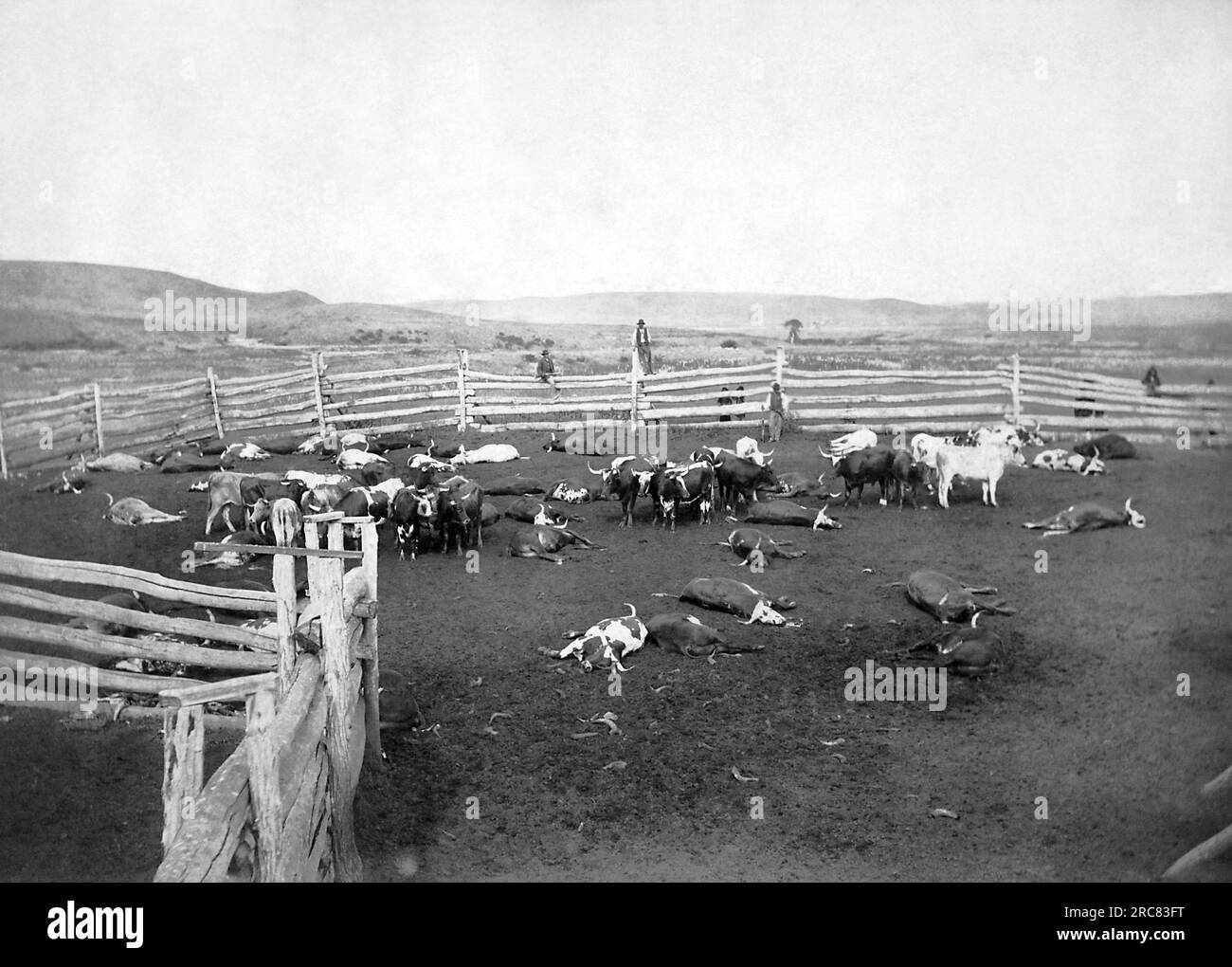 1880s native america hi-res stock photography and images - Alamy