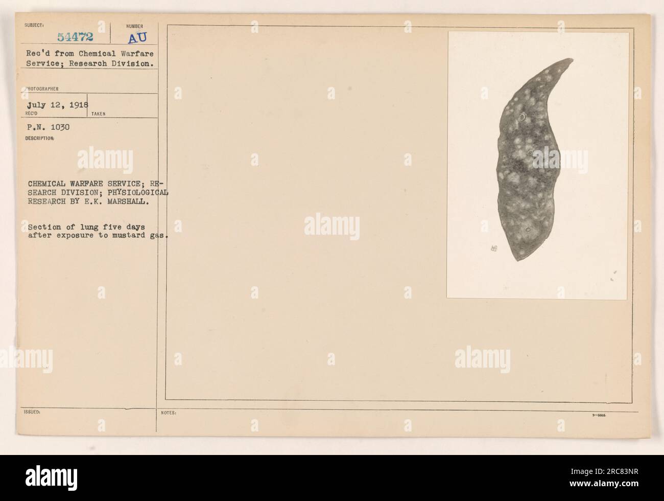 Photograph taken on July 12, 1918, in the Research Division of the ...