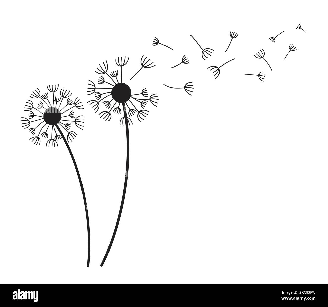 Dandelion Seed Clip Art