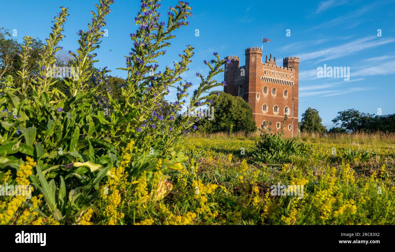 Robert de tateshale hi-res stock photography and images - Alamy