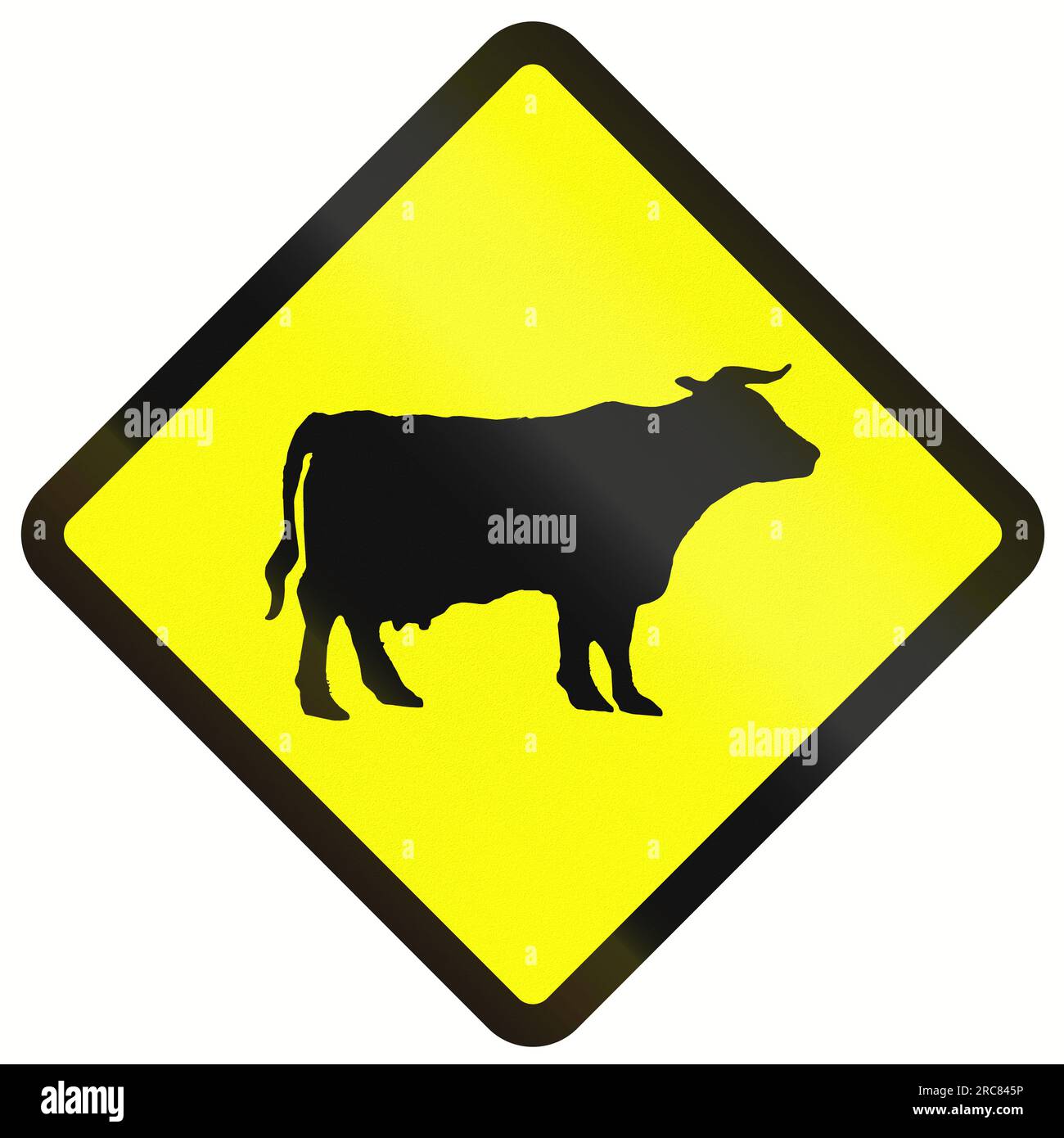 Indonesian road warning sign - Cattle crossing Stock Photo - Alamy