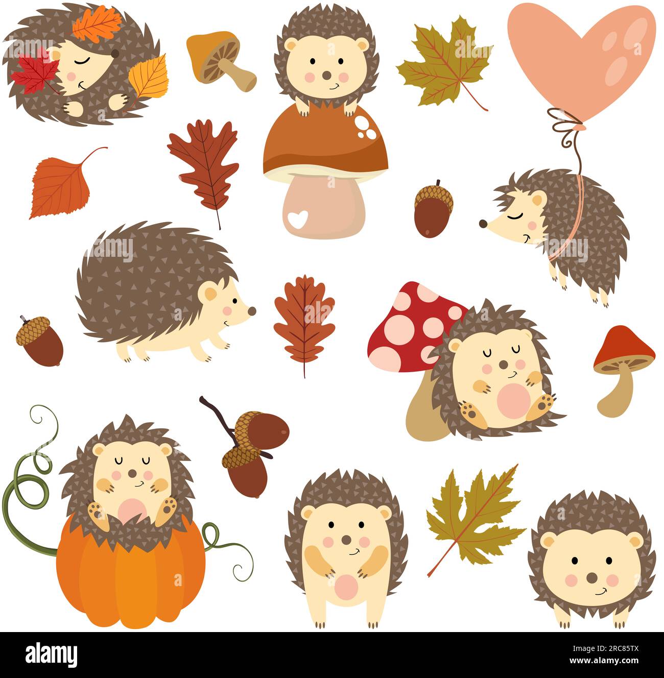 Hedgehog mushroom art hi-res stock photography and images - Alamy