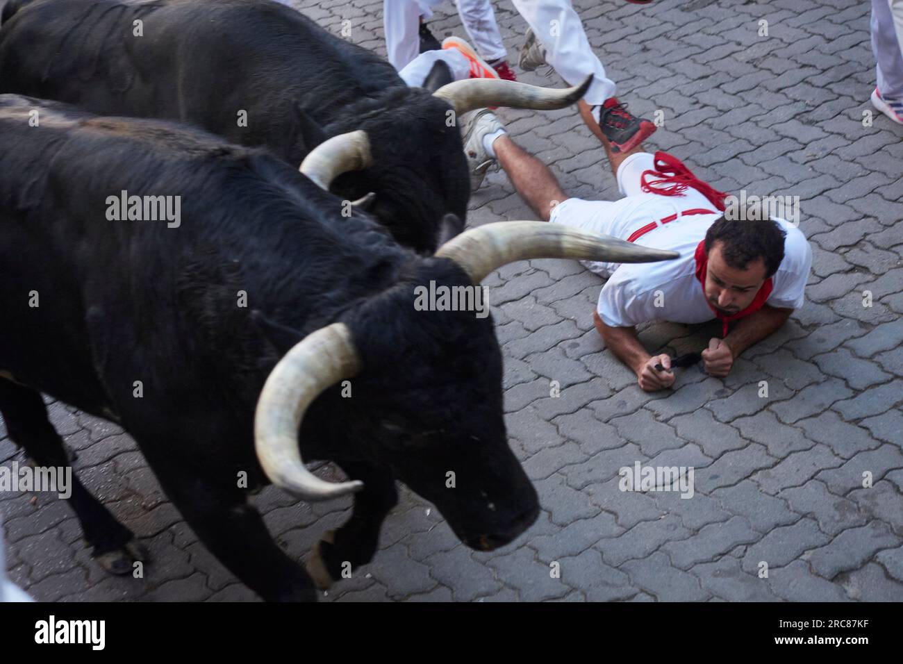 A runner on the ground next to two bulls during the seventh running of ...