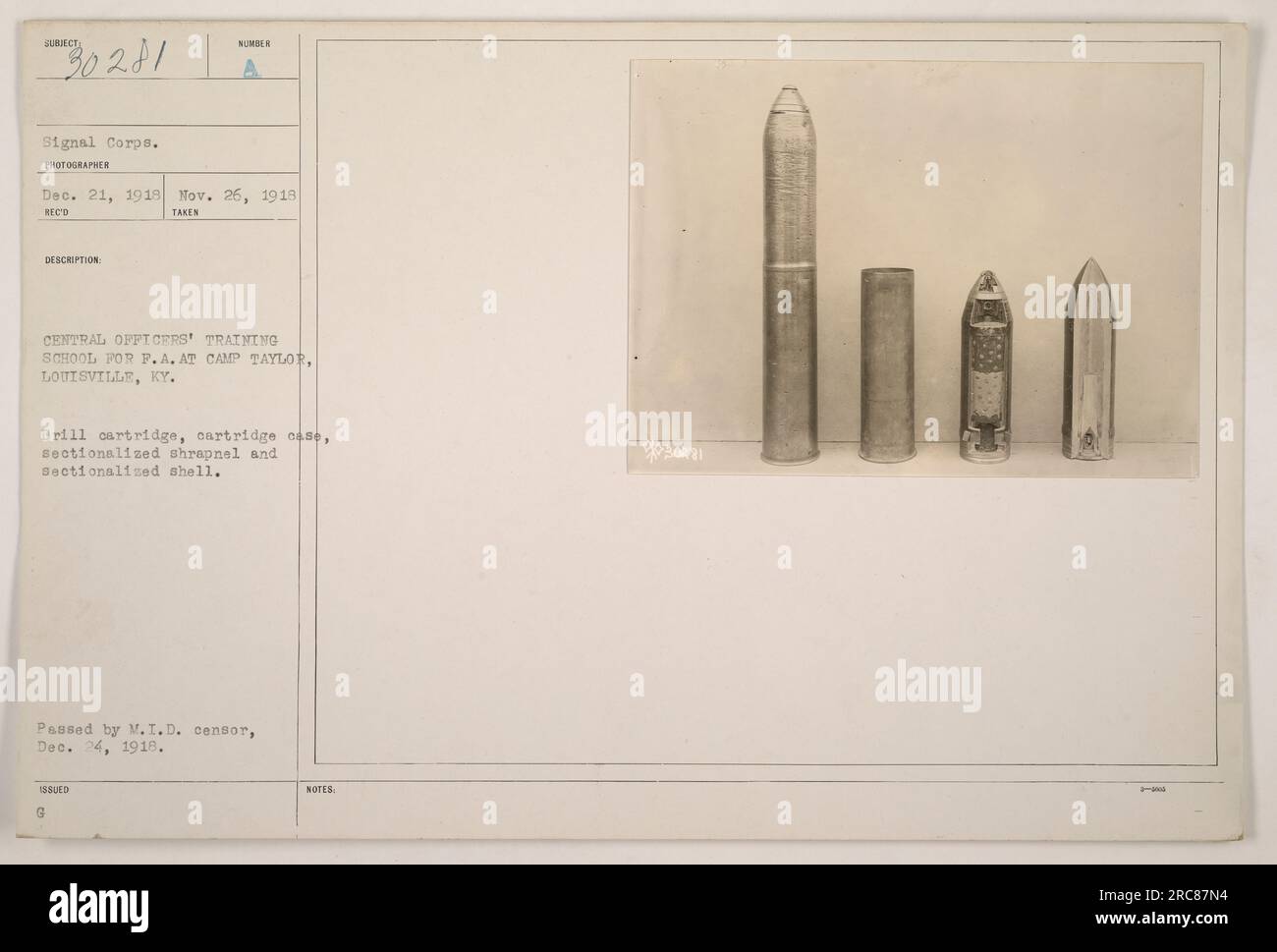 Sectionalized shell hi-res stock photography and images - Alamy