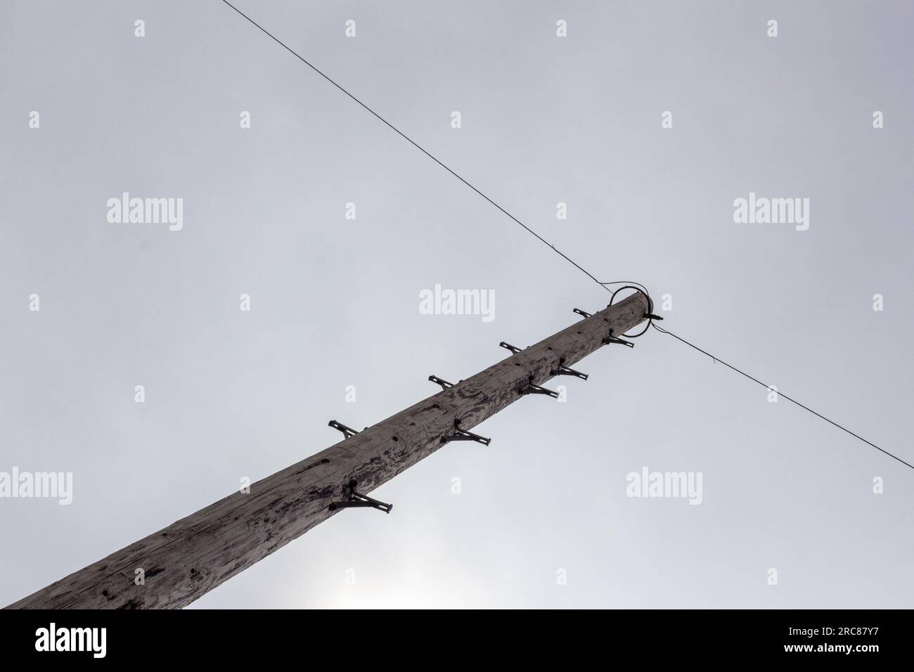 Looking up the rungs of a electricity pole - landscape orientation ...