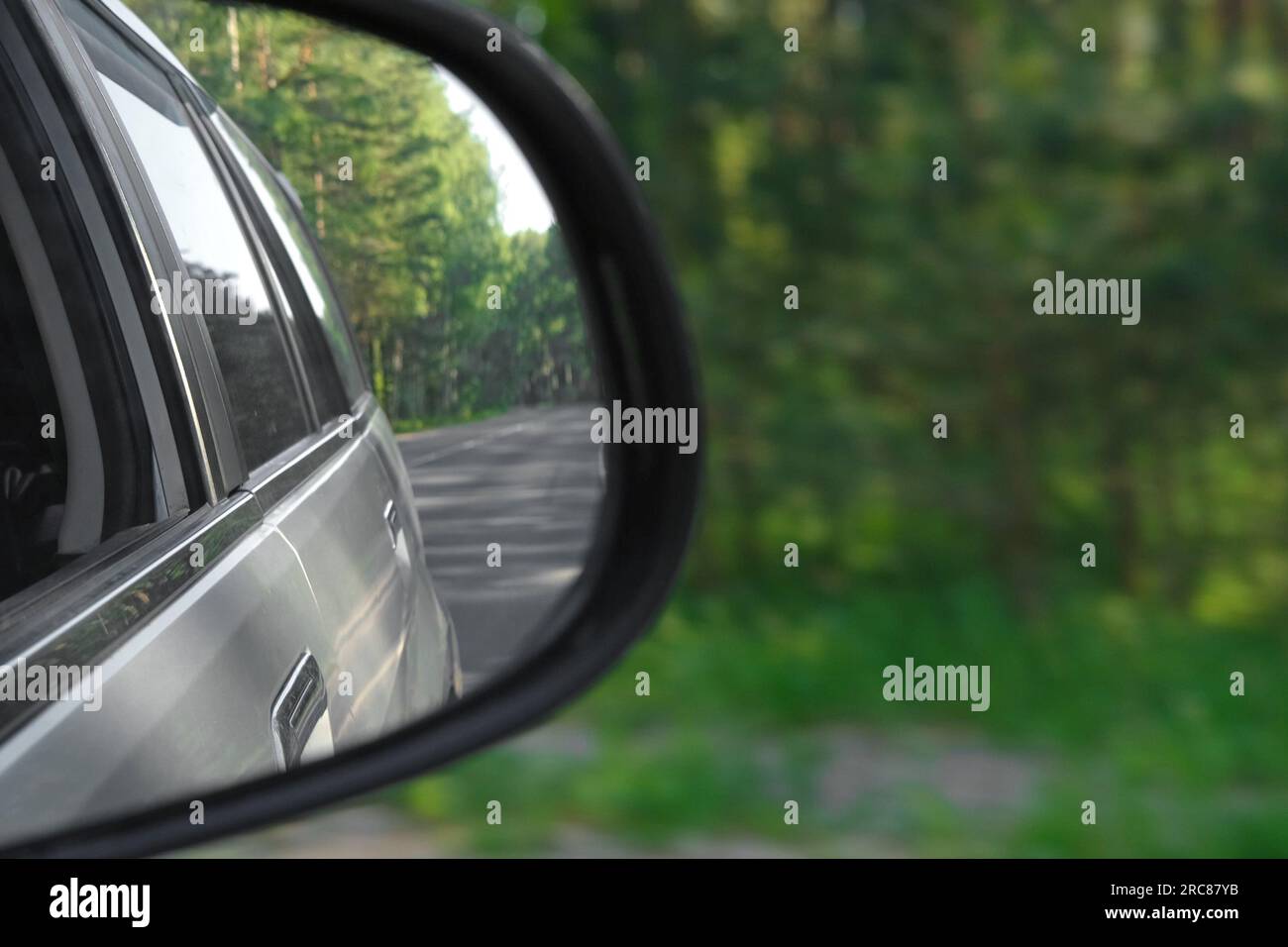 Fast side forest view in 4k hi-res stock photography and images - Alamy