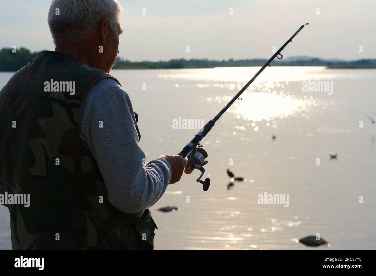Old man fishing. Senior gray haired fisherman throws a spinning from ...