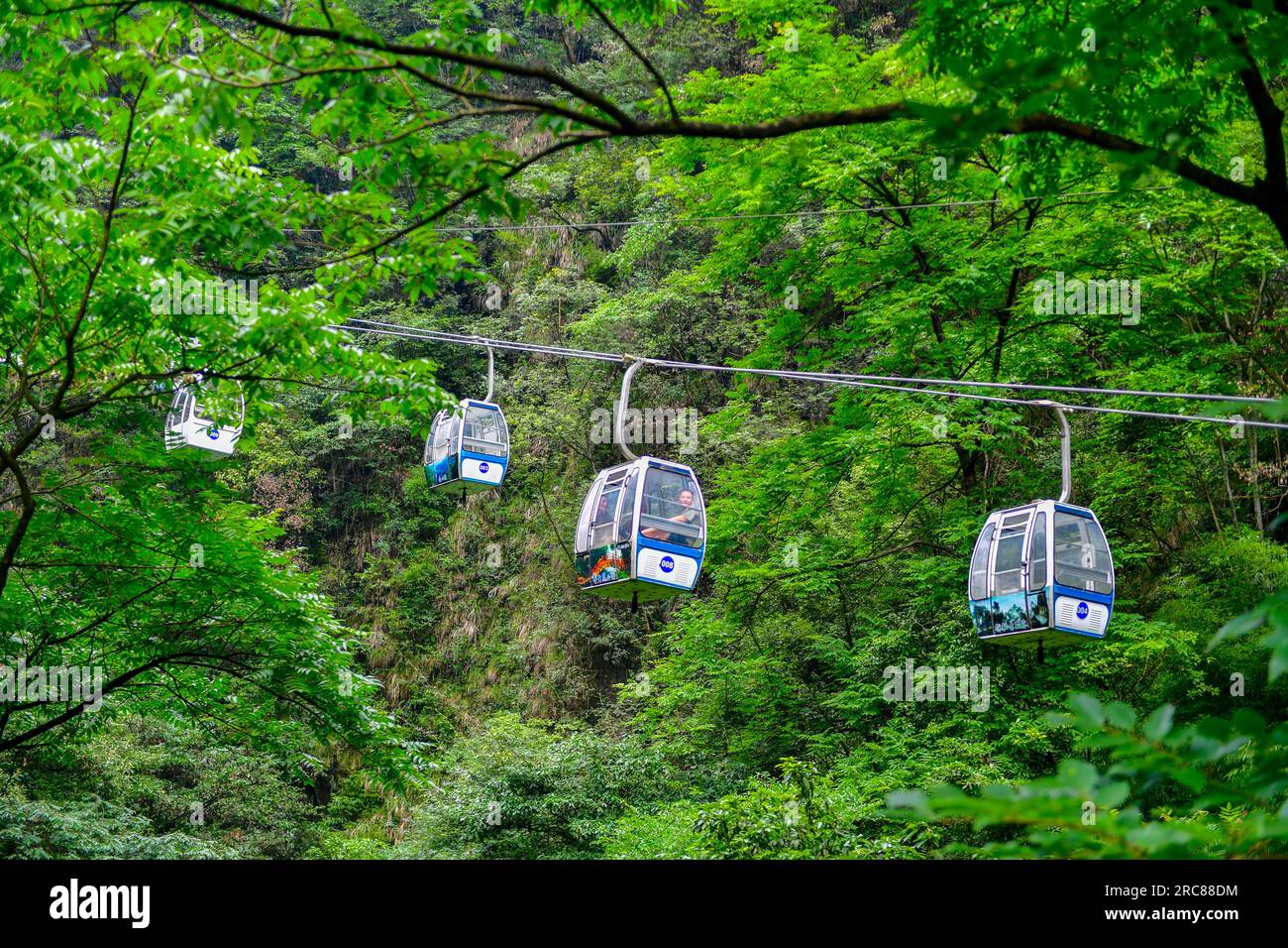 People escape the summer heat at the Black Valley scenic area in ...