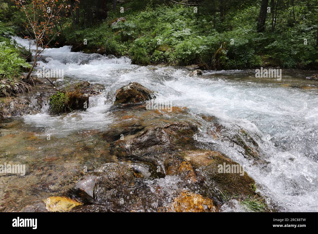 Cold waters of a mountain stream Stock Photo - Alamy