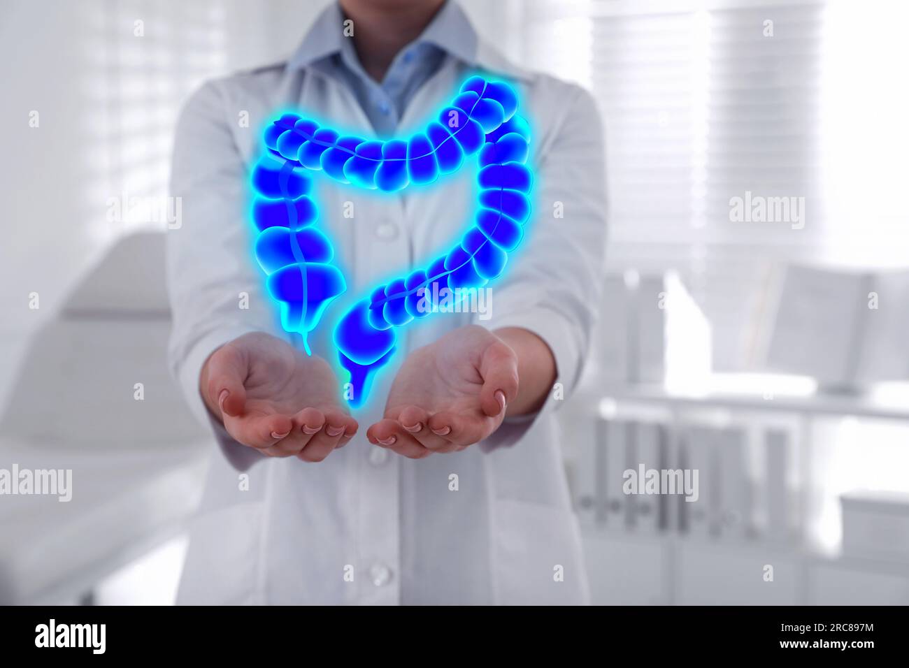 Gastroenterologist holding illustration of large intestine in clinic ...