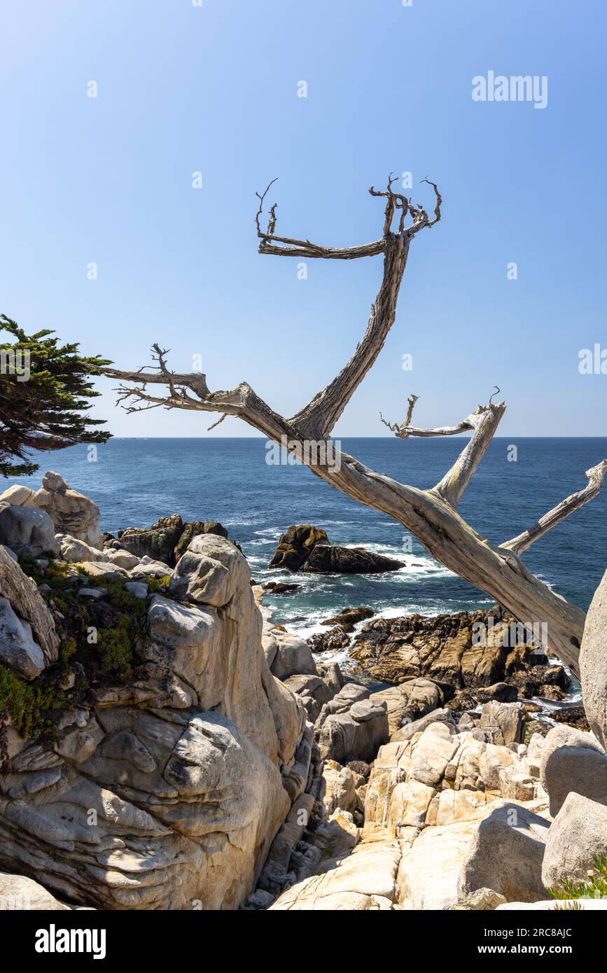 A captivating coastal landscape featuring the majestic ocean and ...
