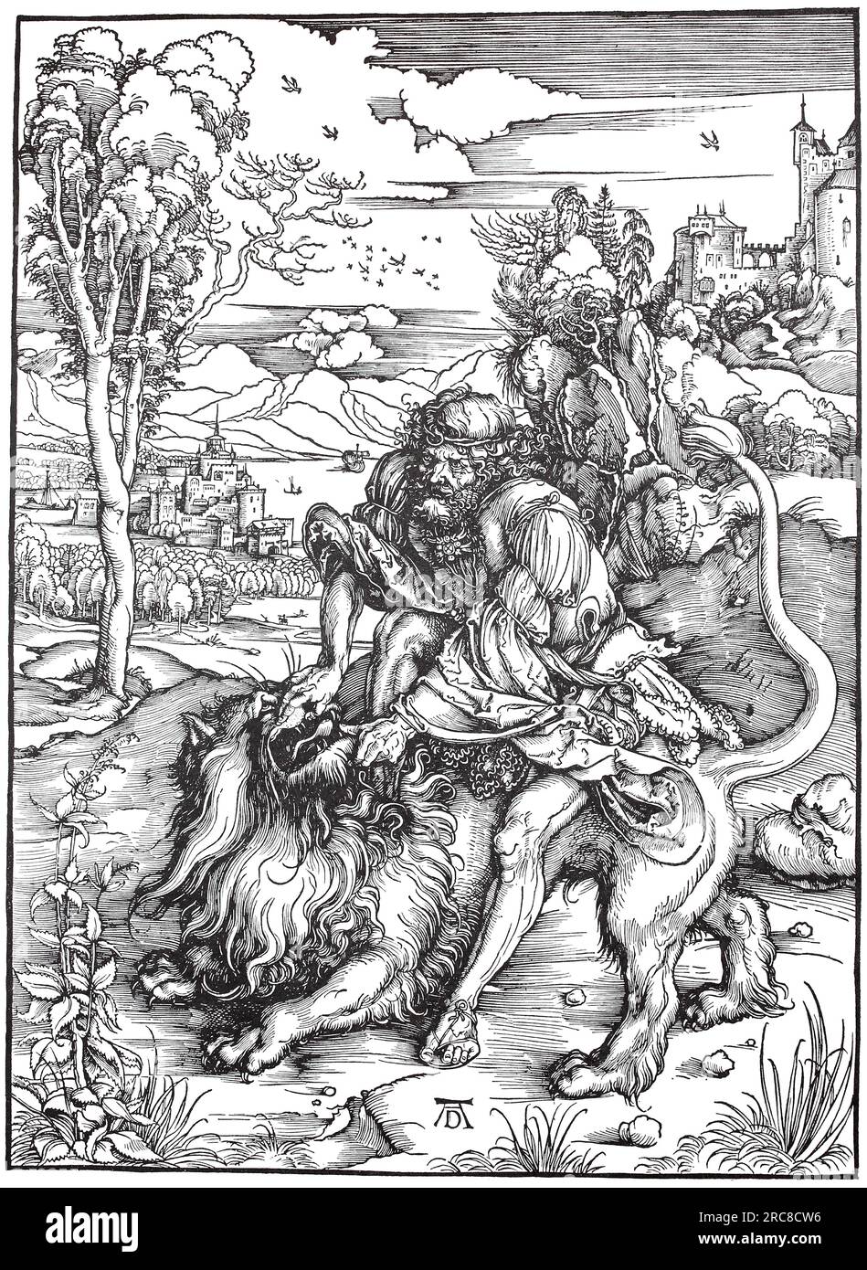 Samson fighting the lion, woodcut by Albrecht Dürer, historical ...