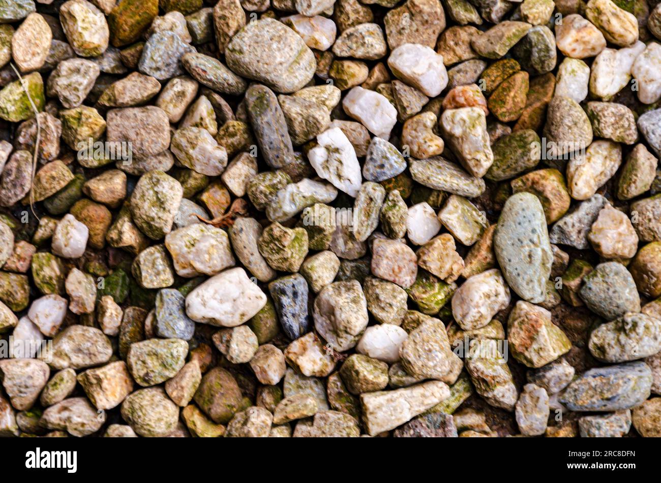 Close-up of a pebble path useful as a background with copy space Stock ...
