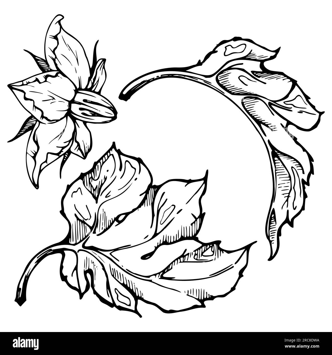 Hand drawn ink vector pumpkin squash leaf, flower. Sketch illustration ...