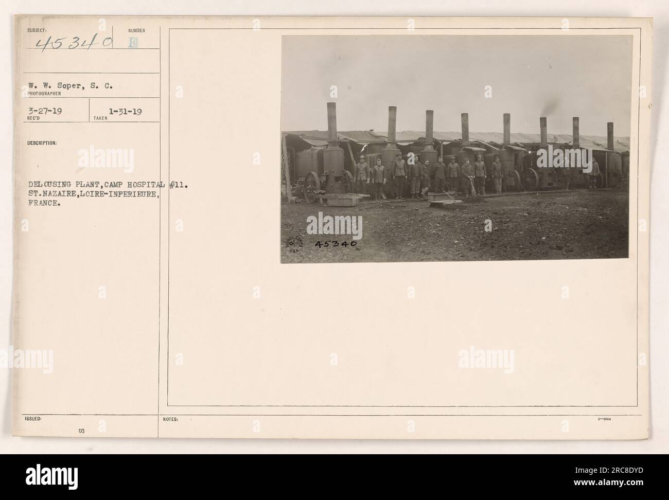 Delousing procedures hi-res stock photography and images - Alamy