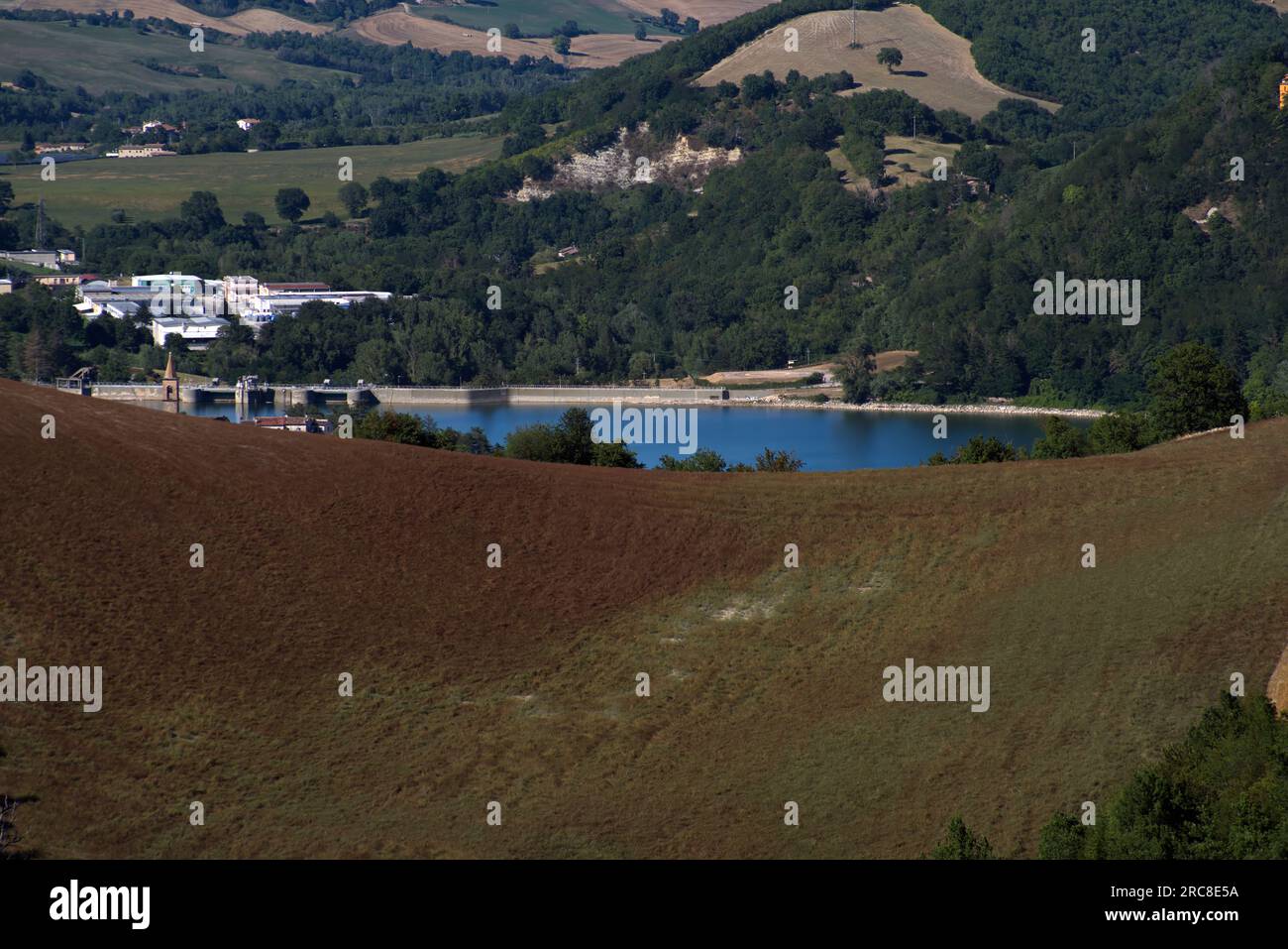Albero del lago hi-res stock photography and images - Alamy