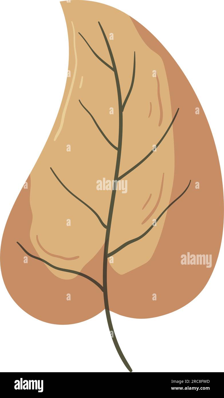 Autumn forest beige leaf illustration Stock Vector Image & Art - Alamy