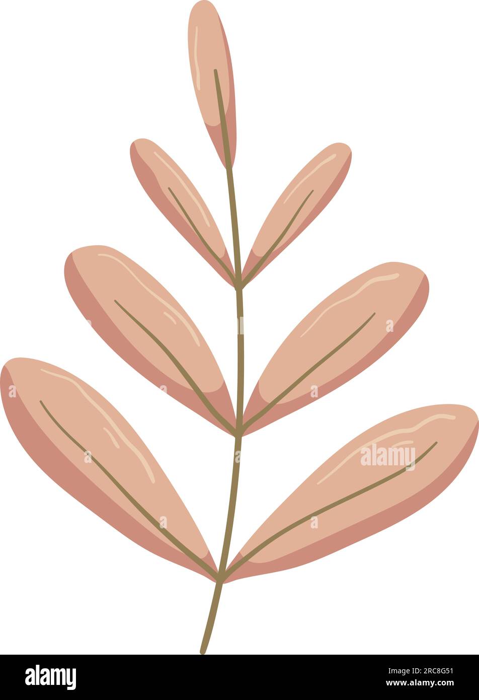 Autumn forest beige leaf illustration Stock Vector Image & Art - Alamy