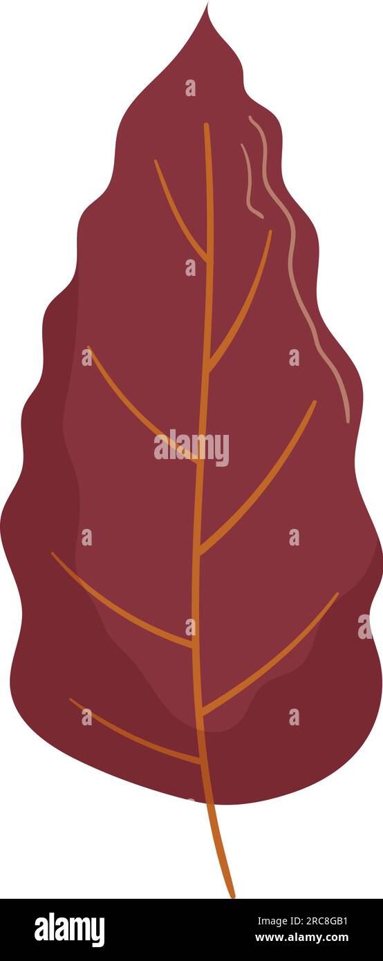 Autumn forest red leaf illustration Stock Vector Image & Art - Alamy