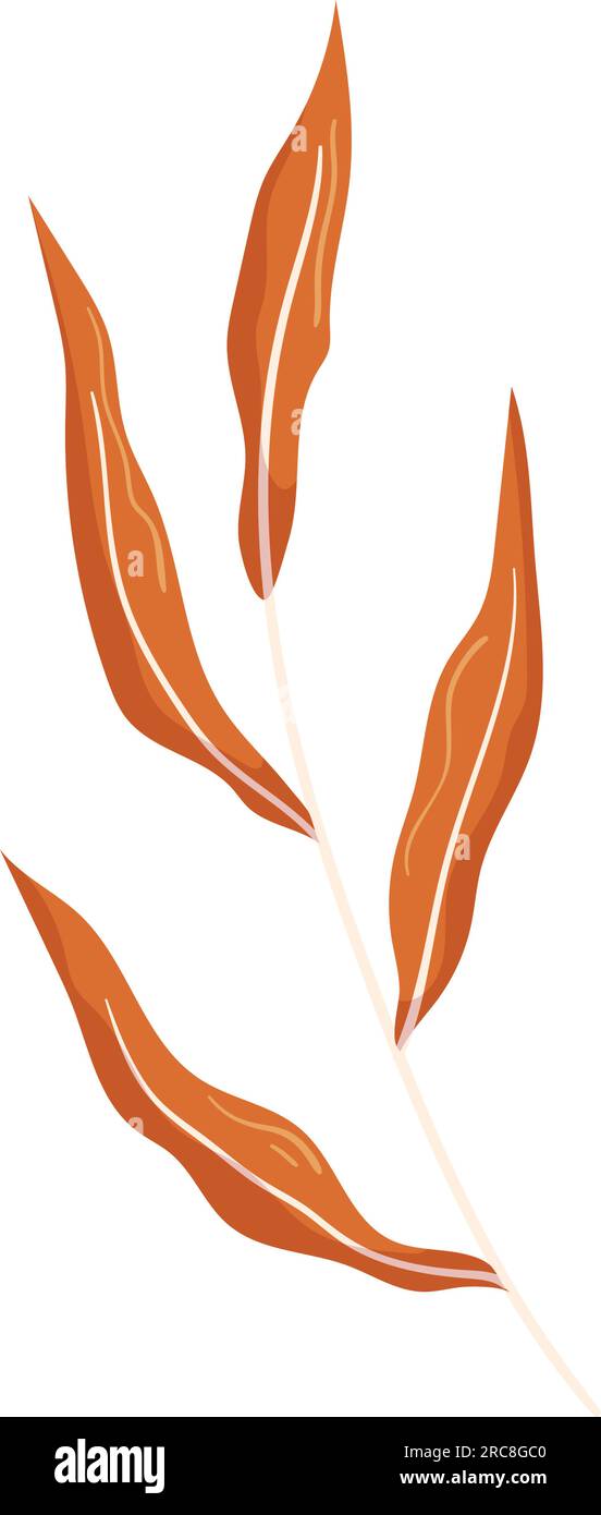Autumn forest orange leaf illustration Stock Vector Image & Art - Alamy