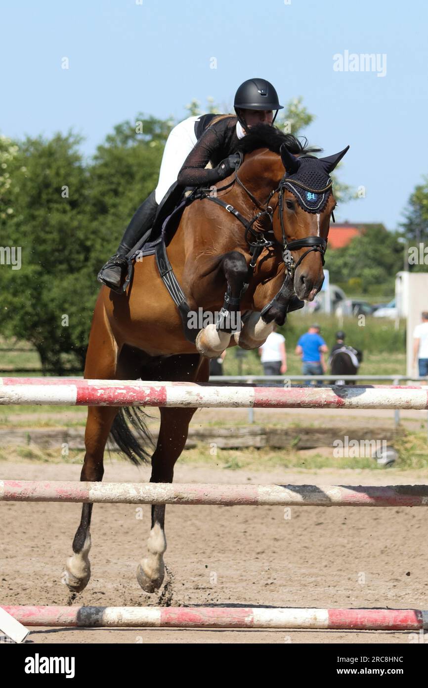 riders jump contest in germany Stock Photo - Alamy