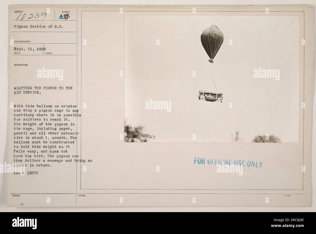 Pigeon Section of s.c. adapting the pigeon to the Air Service during ...