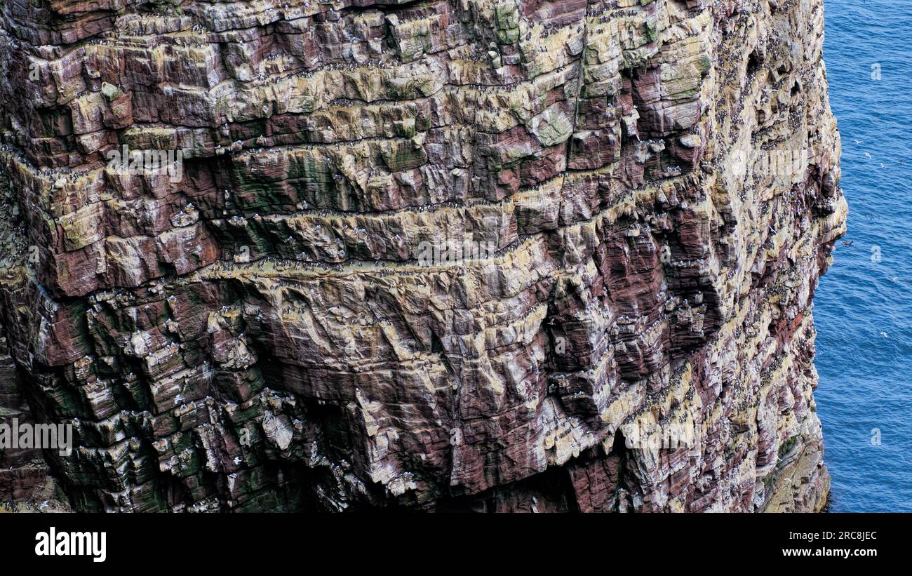 Nesting cliffs on Handa Island Stock Photo - Alamy