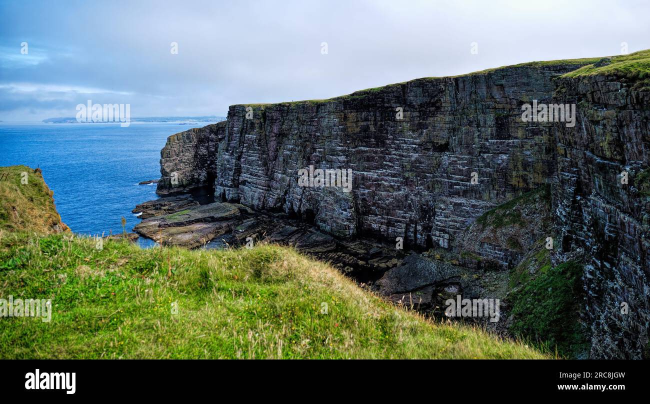 Nesting cliffs on Handa Island Stock Photo - Alamy