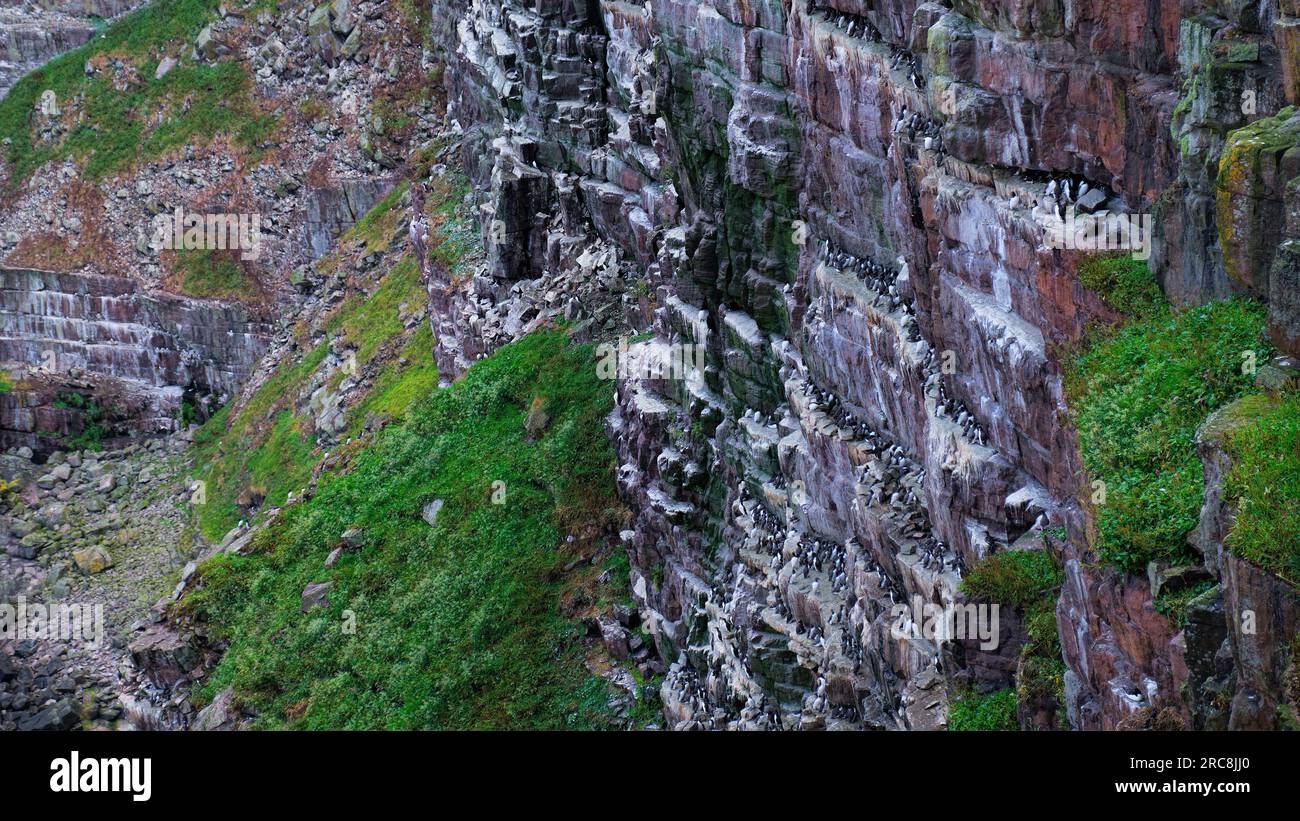 Cliffs of handa island hi-res stock photography and images - Alamy