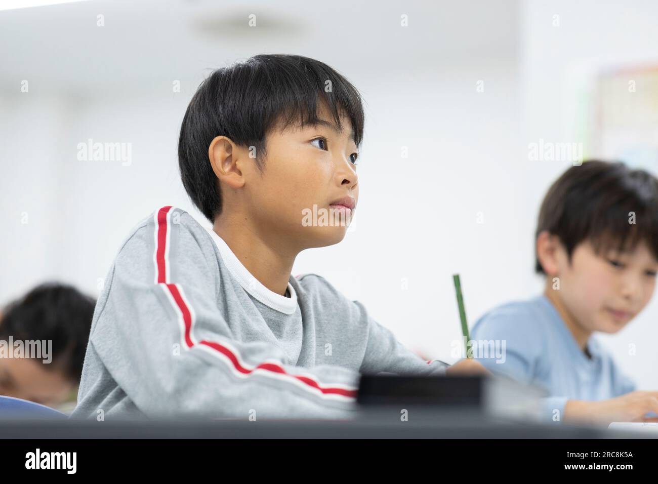Elementary school students studying Stock Photo - Alamy