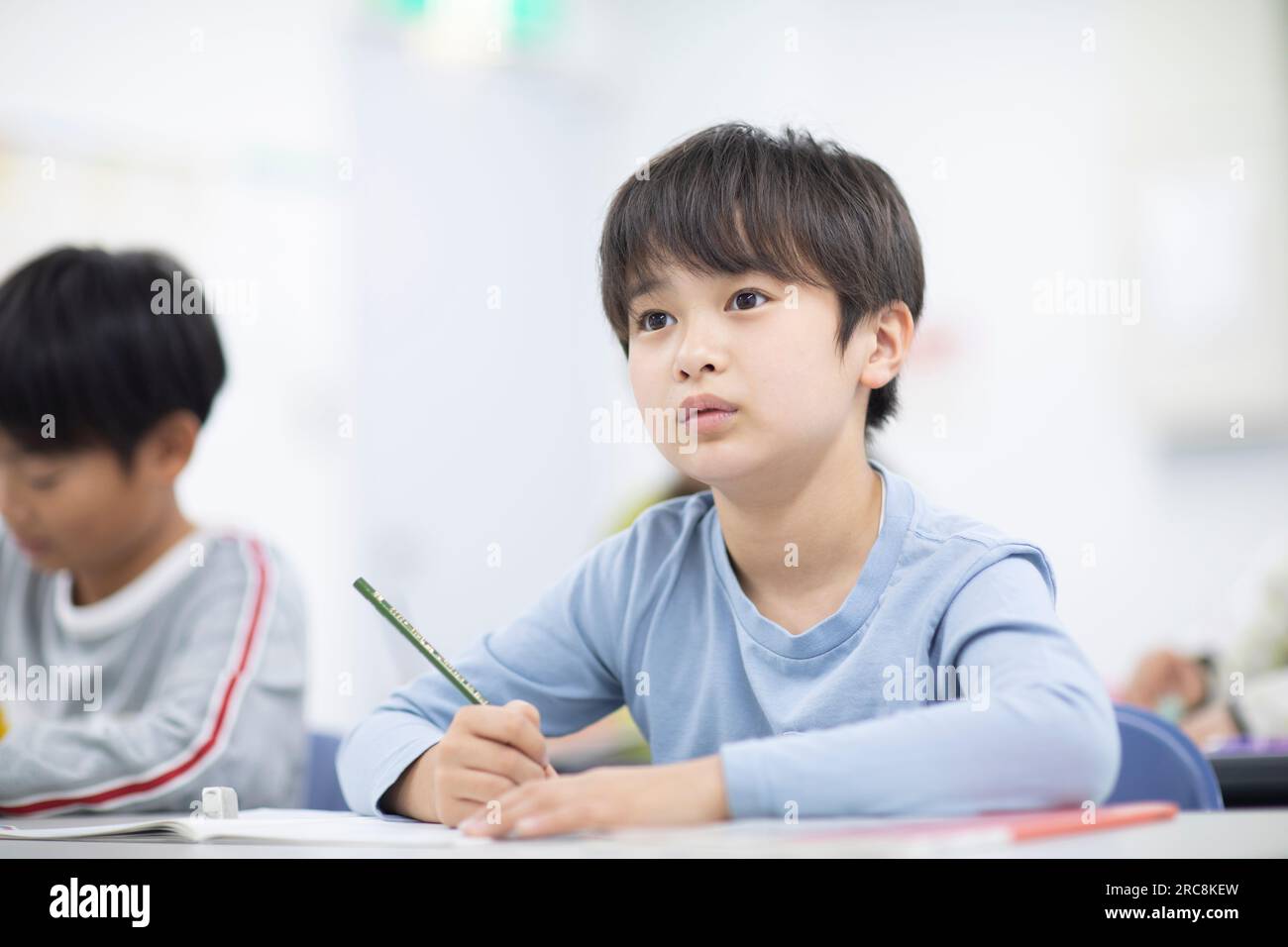 Elementary school student studying Stock Photo - Alamy