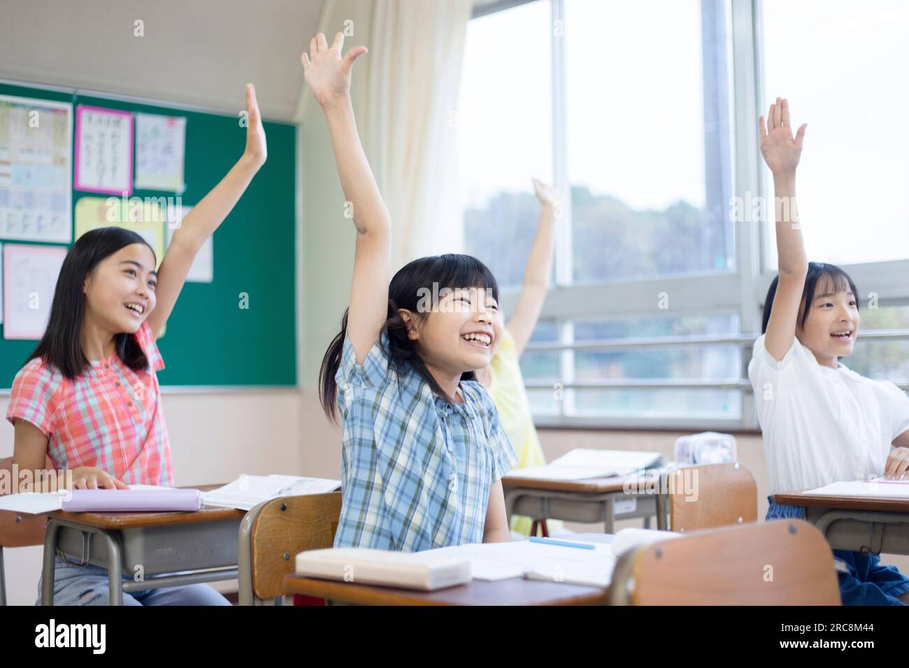 Elementary school student raising his hand during class Stock Photo - Alamy