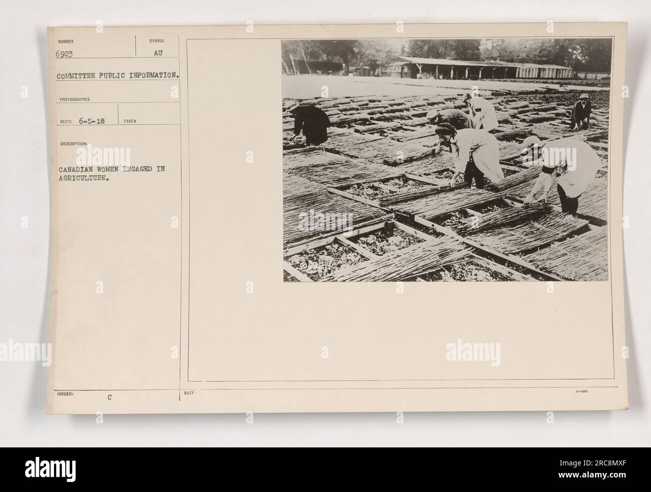 Photo taken focused on hi-res stock photography and images - Alamy